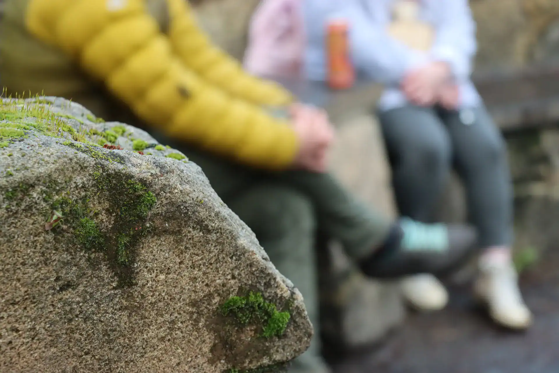 Individual Sessions - Just Wandering Outdoor Therapy